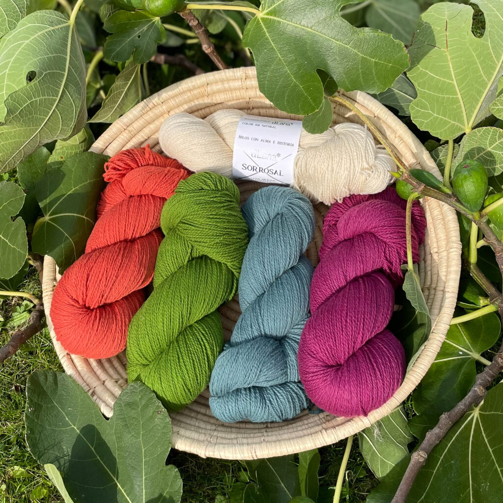 dLana Sorrosal - Legarn.dk